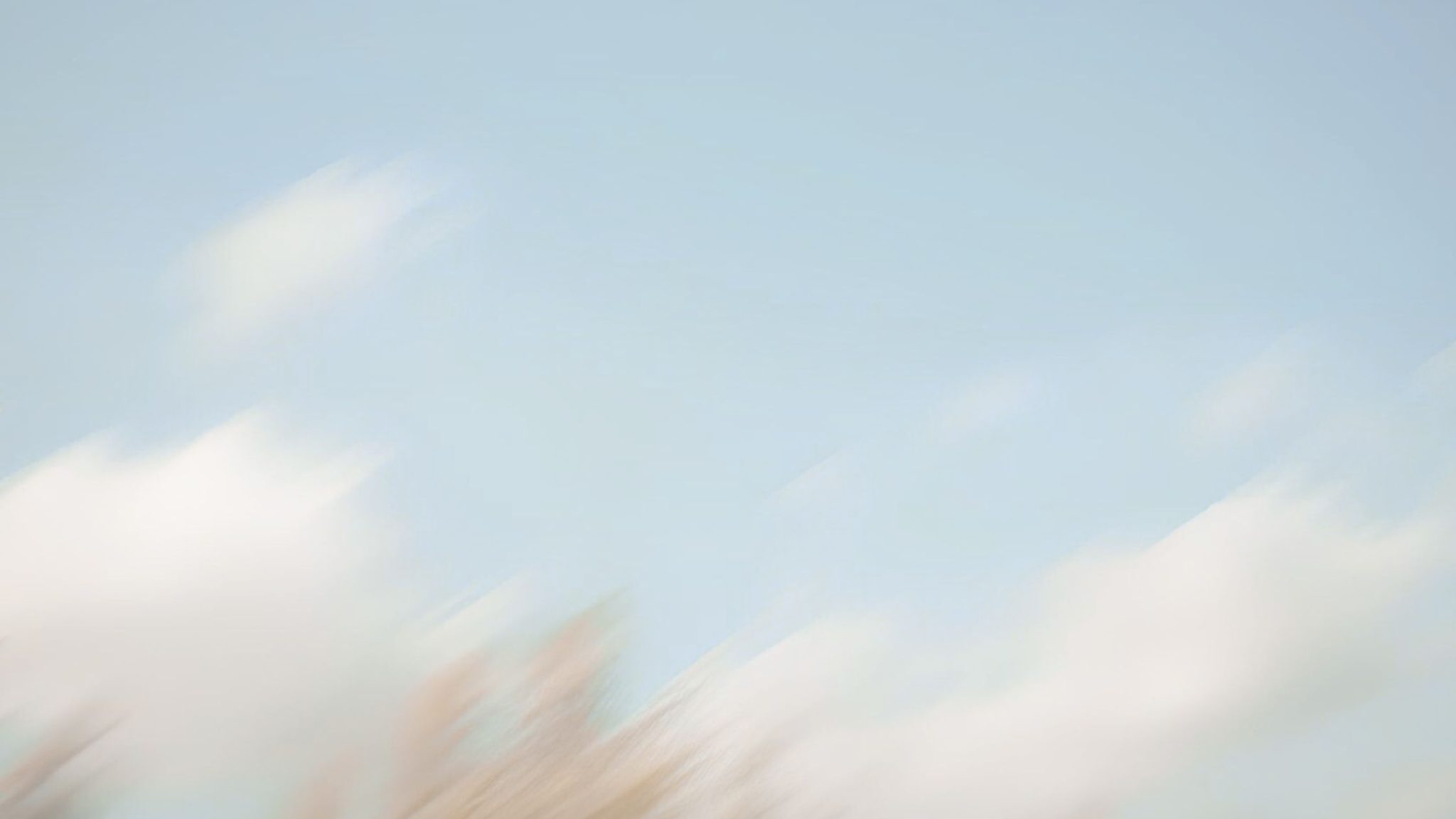 The Annex - theannexmh.com